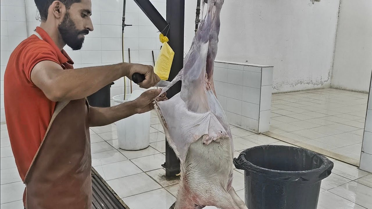 #Amazing# Mutton# & Goat# Cutting Skills In #amazing # Cutting Skills# ...