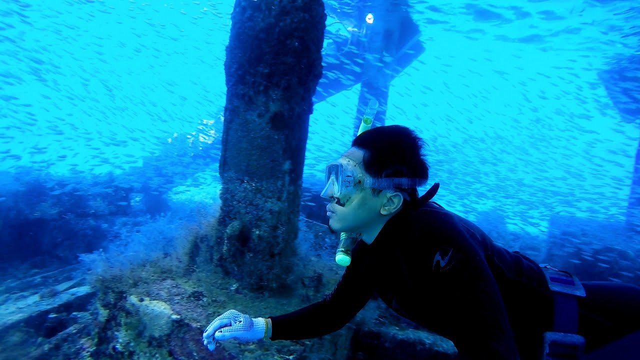 SPEARFISHING CEBU CITY,PHILIPPINES(catch and cook) - YouTube