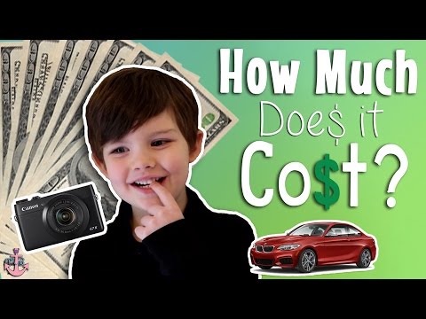 HOW MUCH DOES IT COST CHALLENGE - Do Kids Understand Money? - YouTube