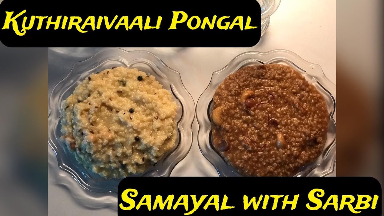 kuthiraivali rice pongal/Barnyard Millet Recipe/Weight Loss Recipe ...
