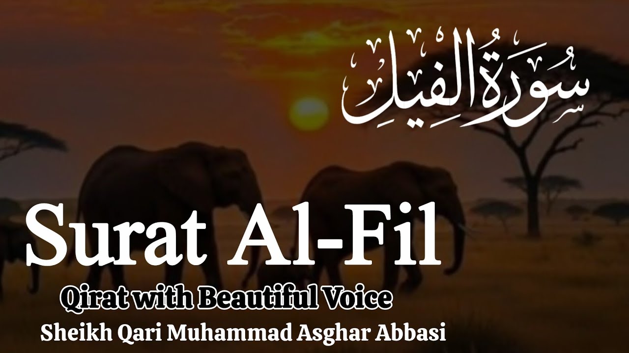 Surah Al-Fil Very Beautiful ️ Qirat Voice Sheikh Qari Muhammad Asghar ...