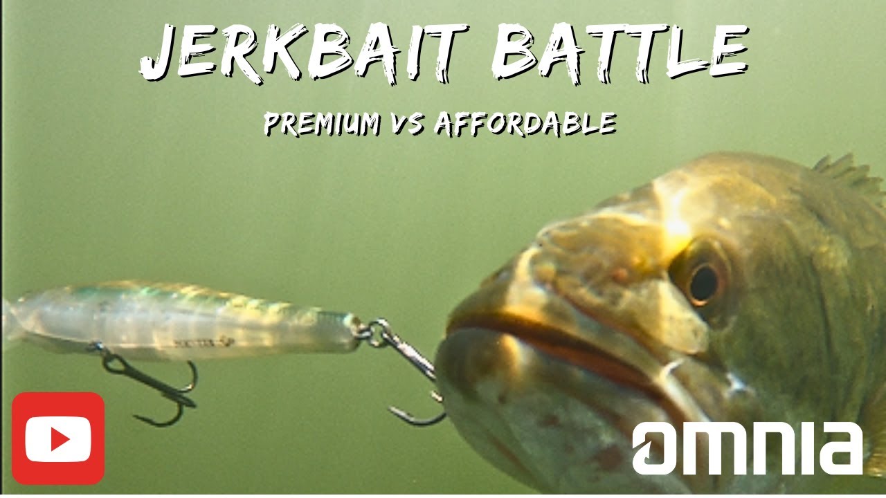 Jerk bait Battle: Premium vs. Budget Baits Underwater! - YouTube