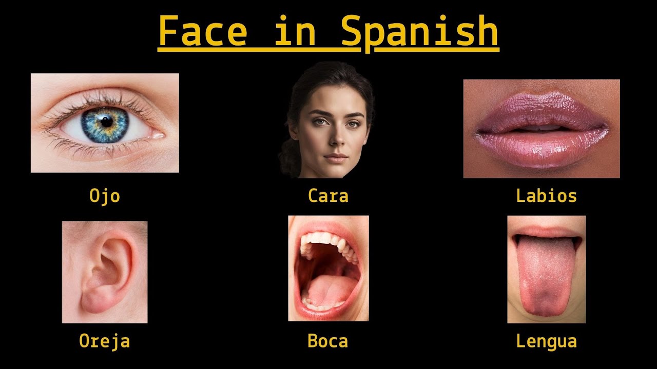 Parts of the Face in Spanish - YouTube