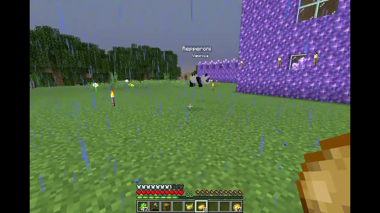 Minecraft - whoops :) - YouTube