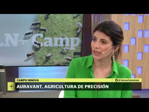 Entrevista a Leandro Sabignoso por Eleonora Cole en LN+Campo - YouTube