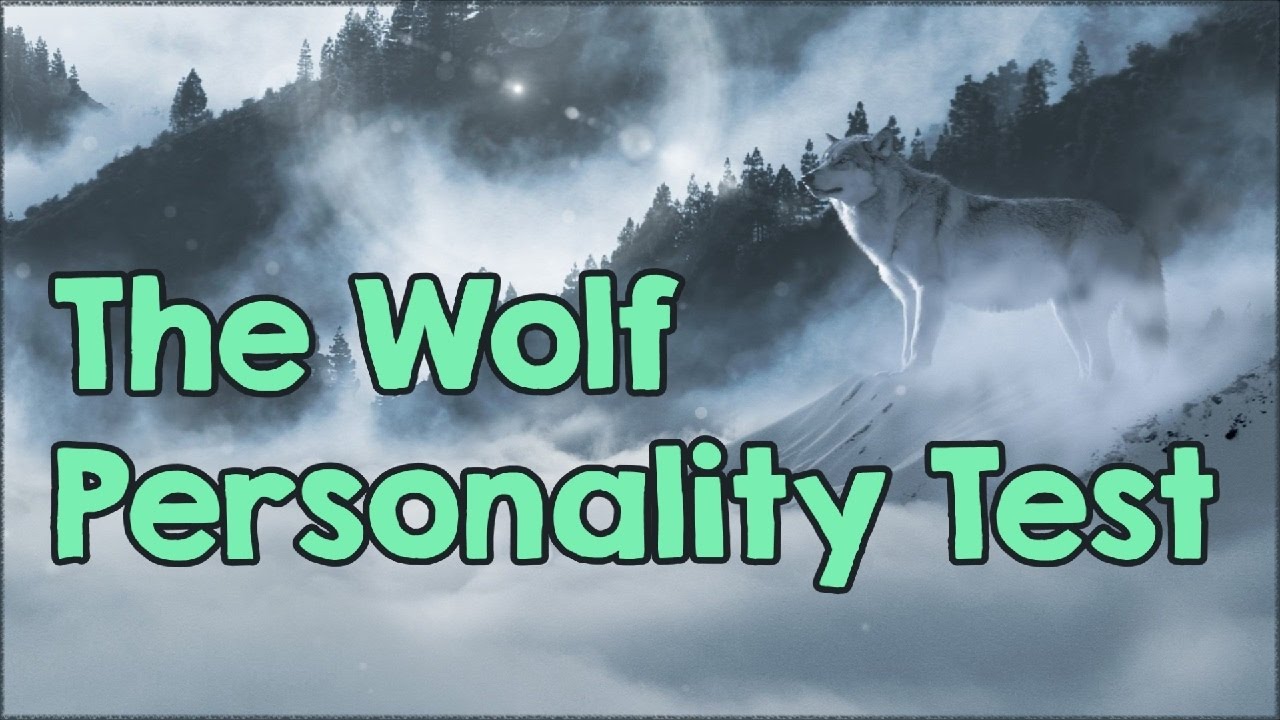 The Wolf Personality Test (How Well Do You Know Yourself?) - YouTube