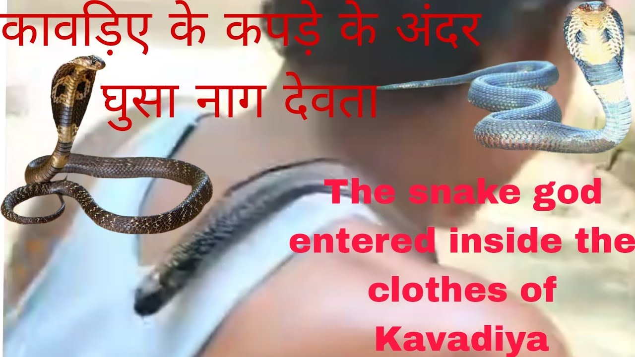 कावड़िए के कपड़े के अंदर घुसा नाग देवता 🐍The snake god entered inside ...