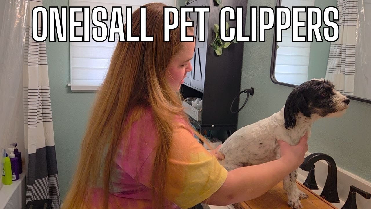 Nice pair of clippers to groom your pets at home - YouTube