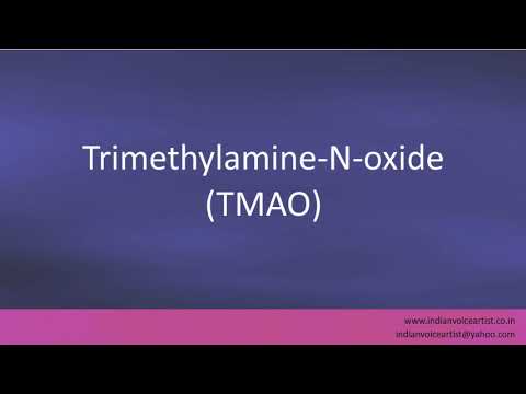 Pronunciation of the word(s) "Trimethylamine-N-oxide (TMAO)". - YouTube
