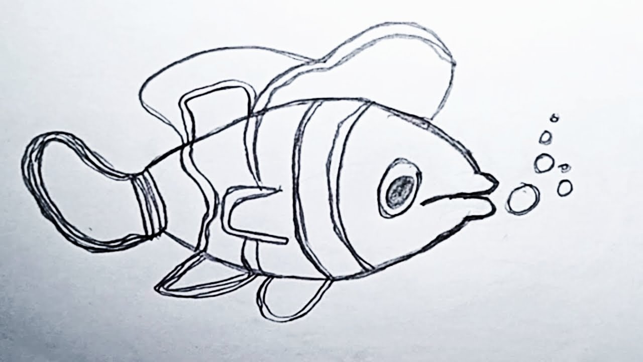 How to draw a fish/ very easy and Simple pencil drawing/ - YouTube