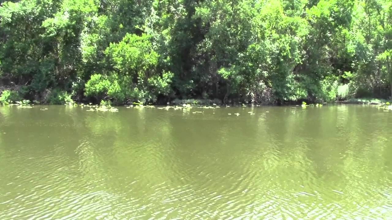 Ingram Lake Boat Ramp - YouTube