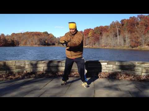 Moves #3, 4, 5, and 6, First Section Yang Tai Chi 108