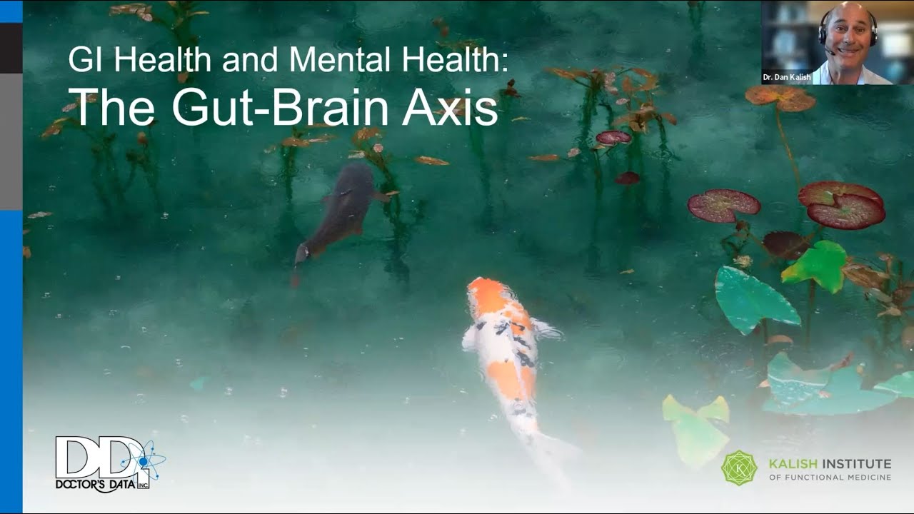 Understanding The Gut Brain Axis: Lab Interpretation and Treatment ...