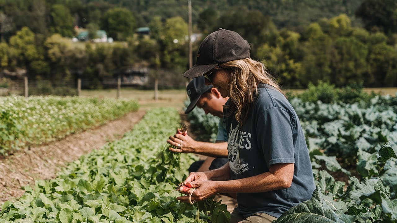 The Villines Farm in Boxley Valley, Arkansas - YouTube