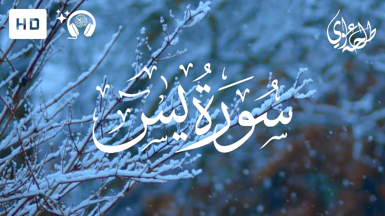 Surah Yasin (Yaseen) Full - Talha Alvi | سورة يس - طلحه علوي - YouTube