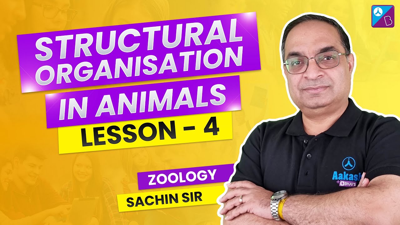 Morphology & Anatomy of Frog - Structural Organisation in Animals Class ...