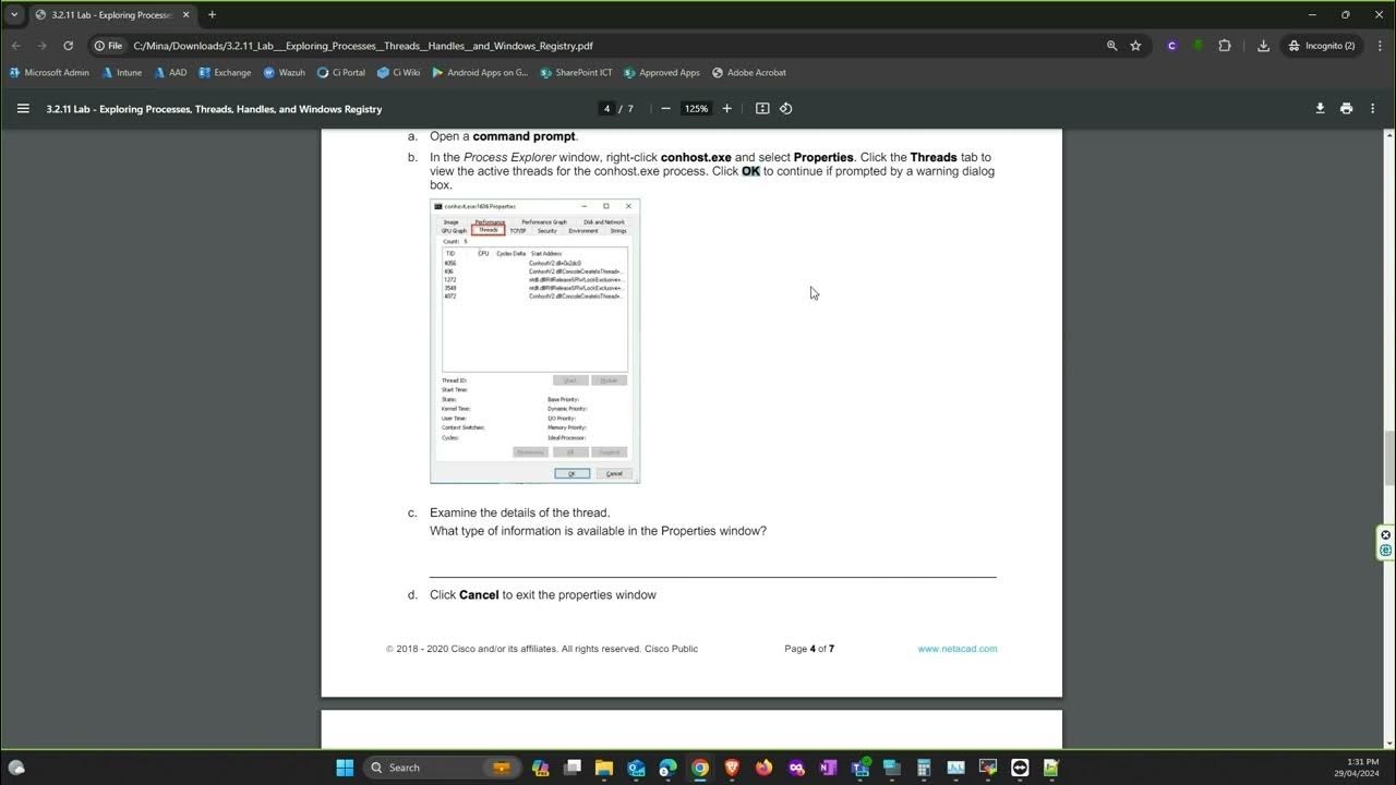 Lab Activity CyberOps 3.2.11 Lab - Exploring Processes, Threads, Handles, and Windows Registry ...