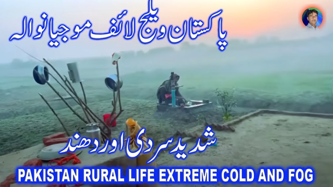 PAKISTAN VILLAGE LIFE EXTREME COLD AND FOG / pakistan rural area - YouTube