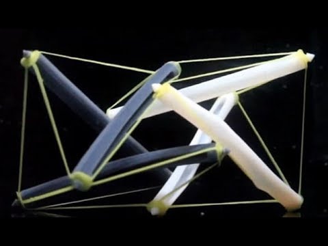 Engineers create shape shifting '4D' printed objects that are able to ...