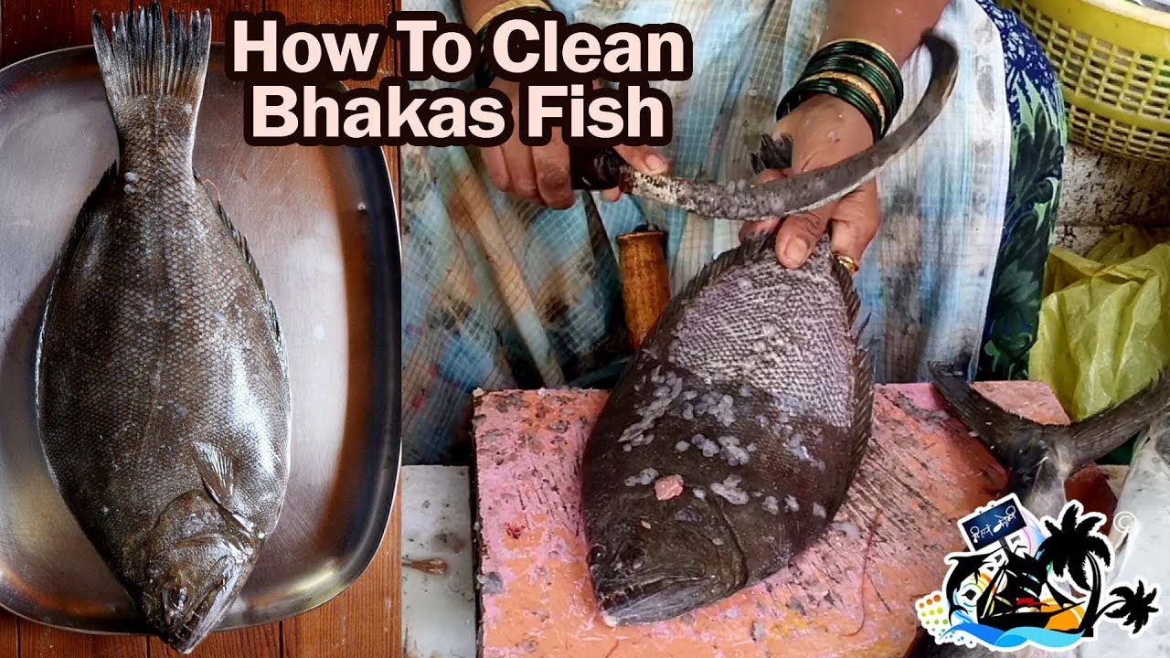 How To Clean Bhakas Fish | How To Clean and Cut a Fish | Bhakas Fish ...