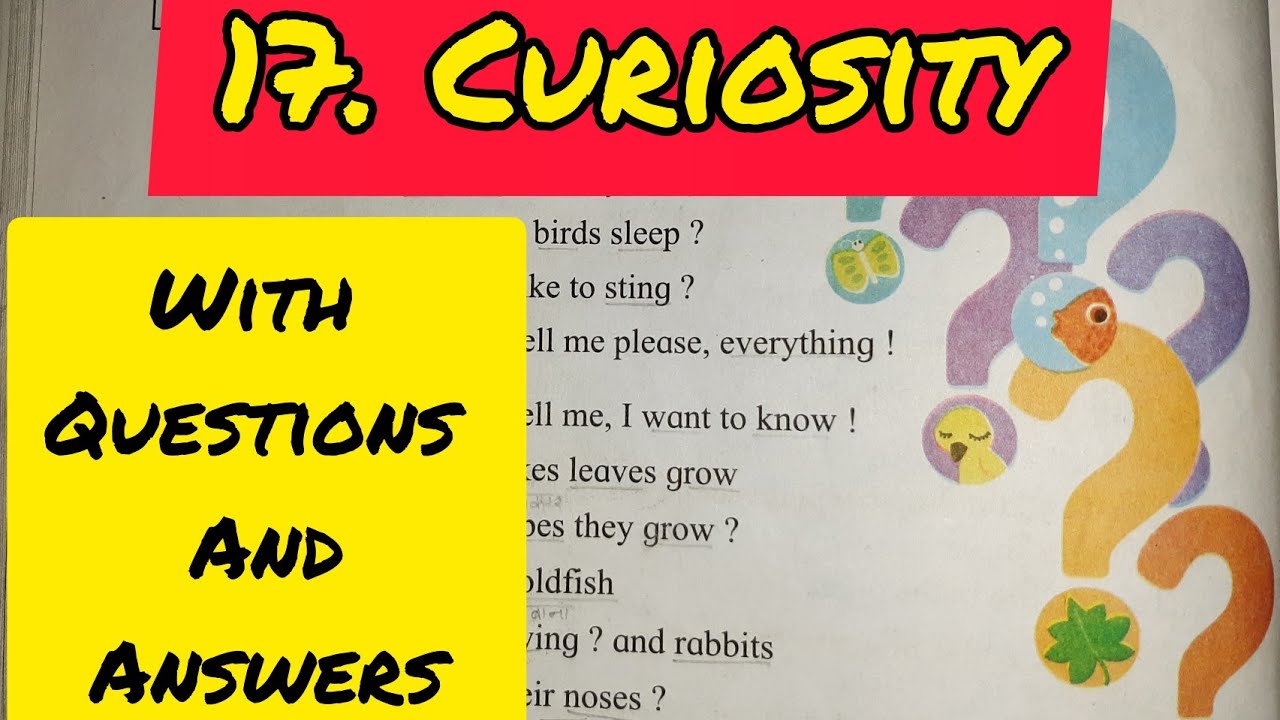 3rd Std English Chapter 17 Curiosity In Hindi With Answers exercise Class 3 Maharashtra 3rd-std-english-chapter-17-curiosity-in-hindi-with-answers-exercise-class-3-maharashtra