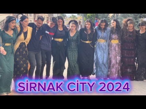 Yetik Ailesinin düğünü Şırnak düğünleri 2024 #sirnakcity 