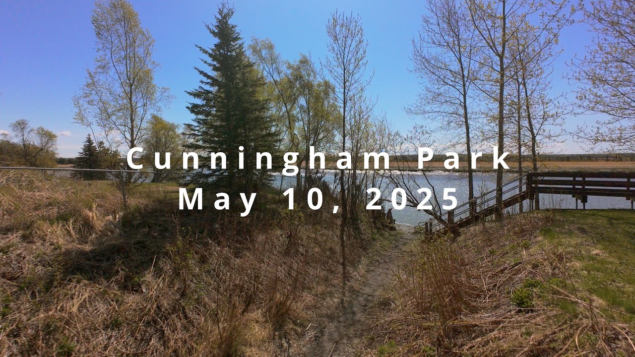 Cunningham Park Kenai River Flight - May 10, 2025 - DJI AVATA 2 - YouTube