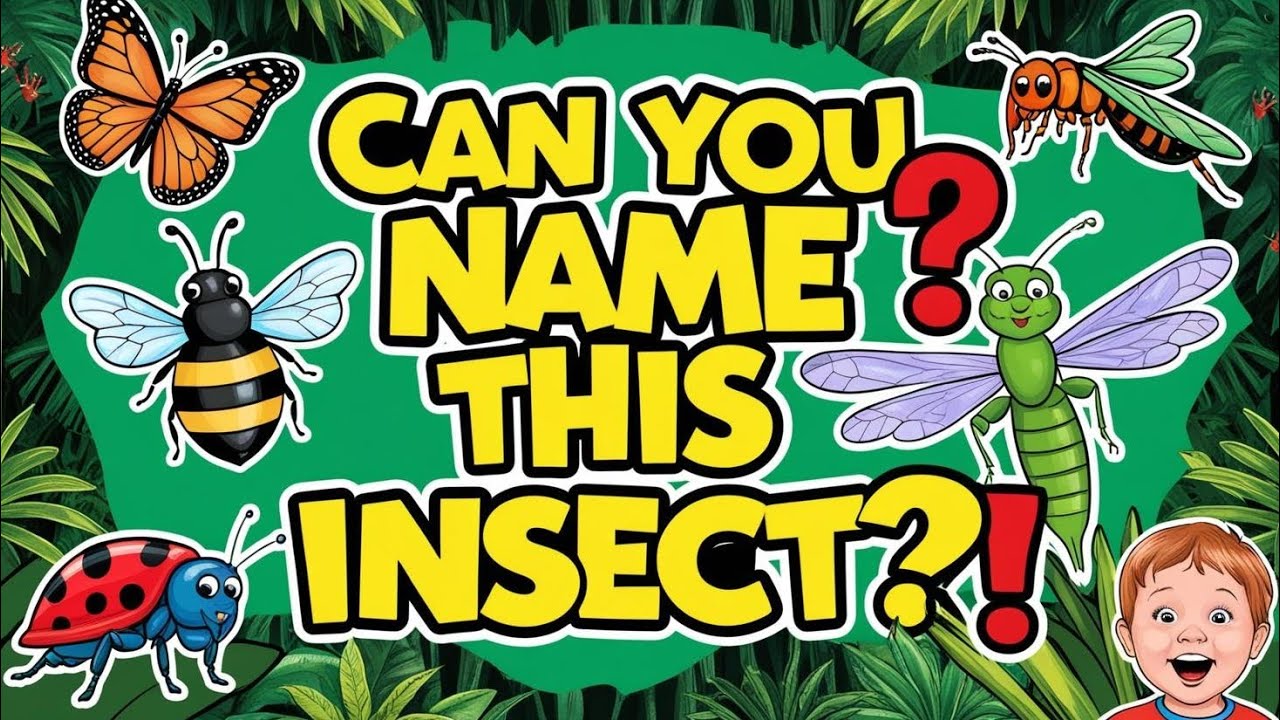 Insect Guessing Game | Guess the Insect Quiz | Toddlers and ...