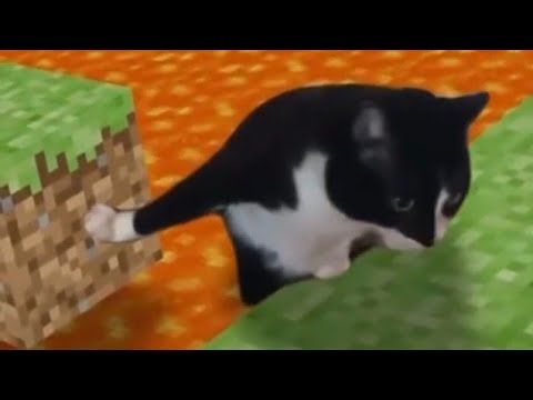 USELESS MEMES COMPILATION 3 - YouTube