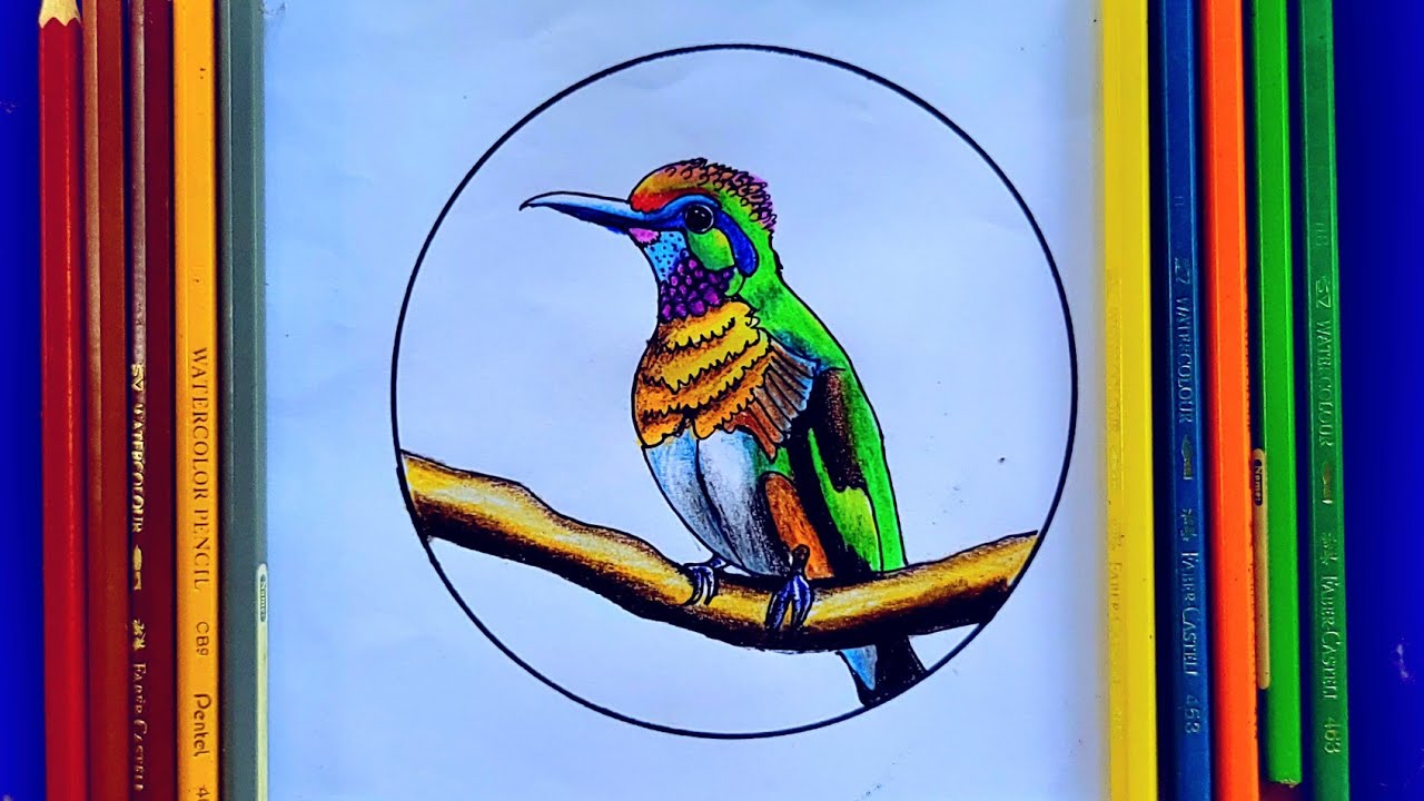 Beautiful bird drawing/Color pencil/Easy Drawing - YouTube