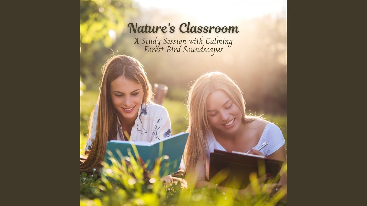 Whispering Leaves Study Session - YouTube Music