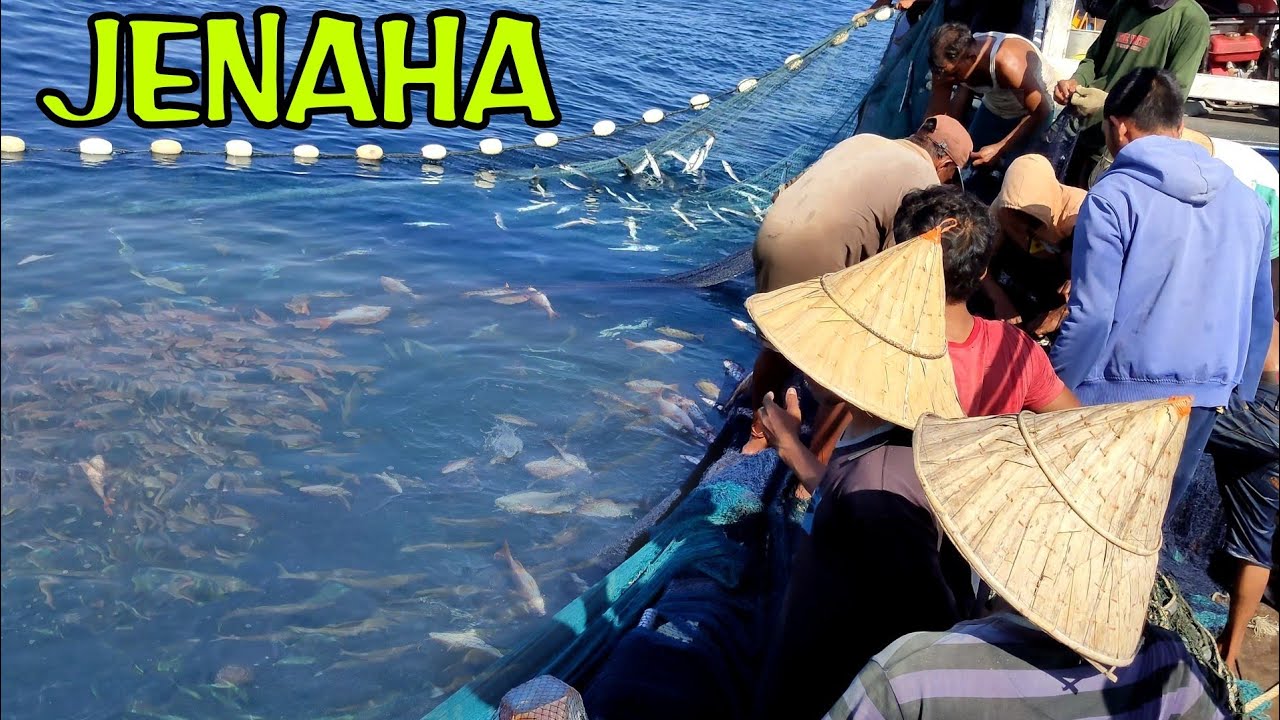 PUKAT CINCIN | Lingkar Jaring Di Rumpon Dapat Ikan JENAHA Sebanyak Ini ...