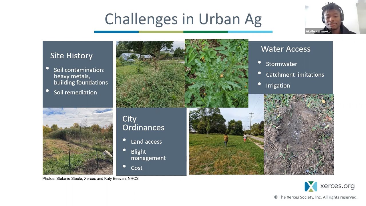 Creating Space for Pollinator and Beneficial Insect Habitat on Small ...