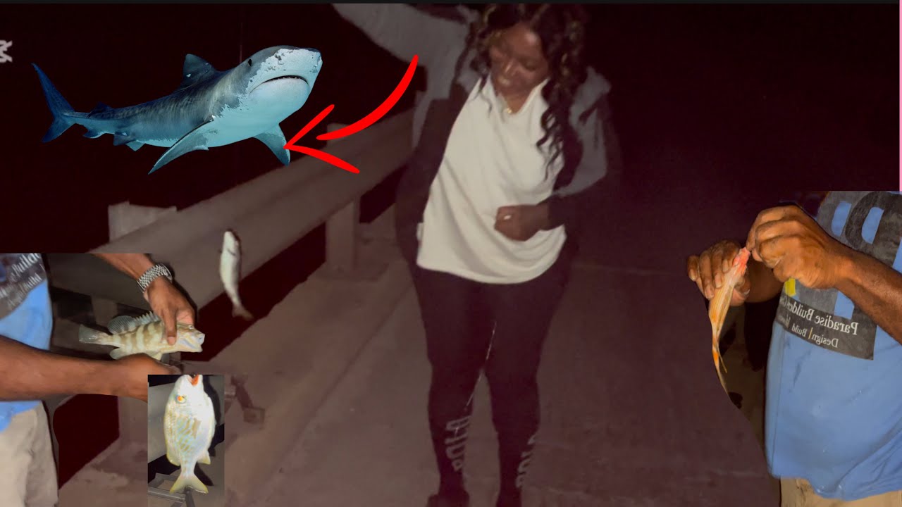 FISHING for The First Time In The Bahamas 🇧🇸 - YouTube