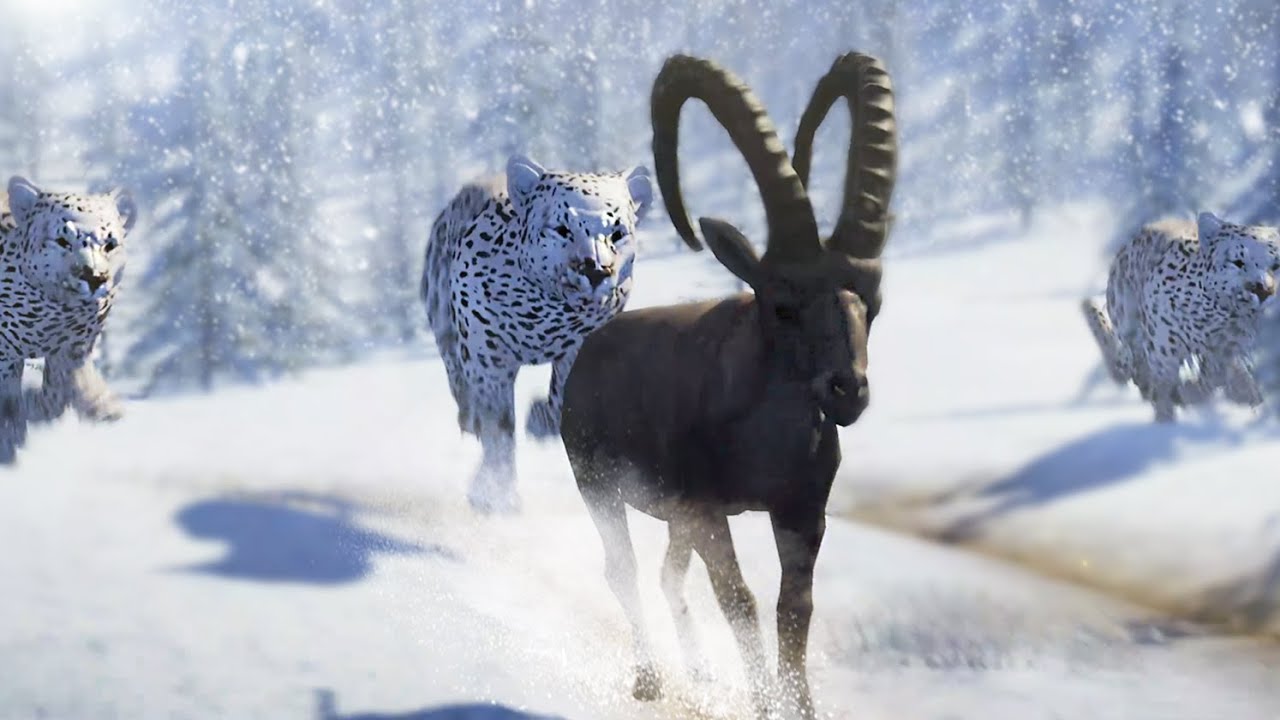 Wild Leopard Simulator -Jungle Survival 3D Game - YouTube