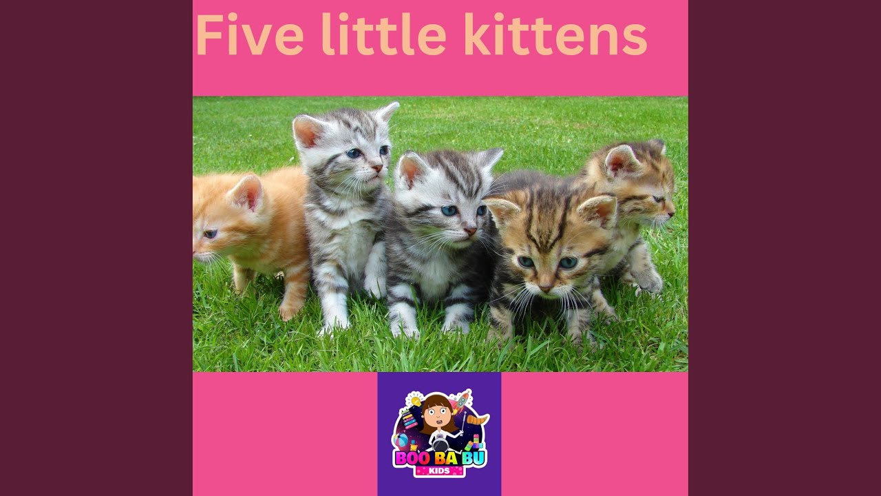 The Adorable Five Little Kittens Song You Can't Miss! - YouTube