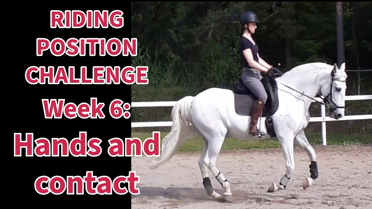 Riding position challenge Week 6: Hands and contact - YouTube