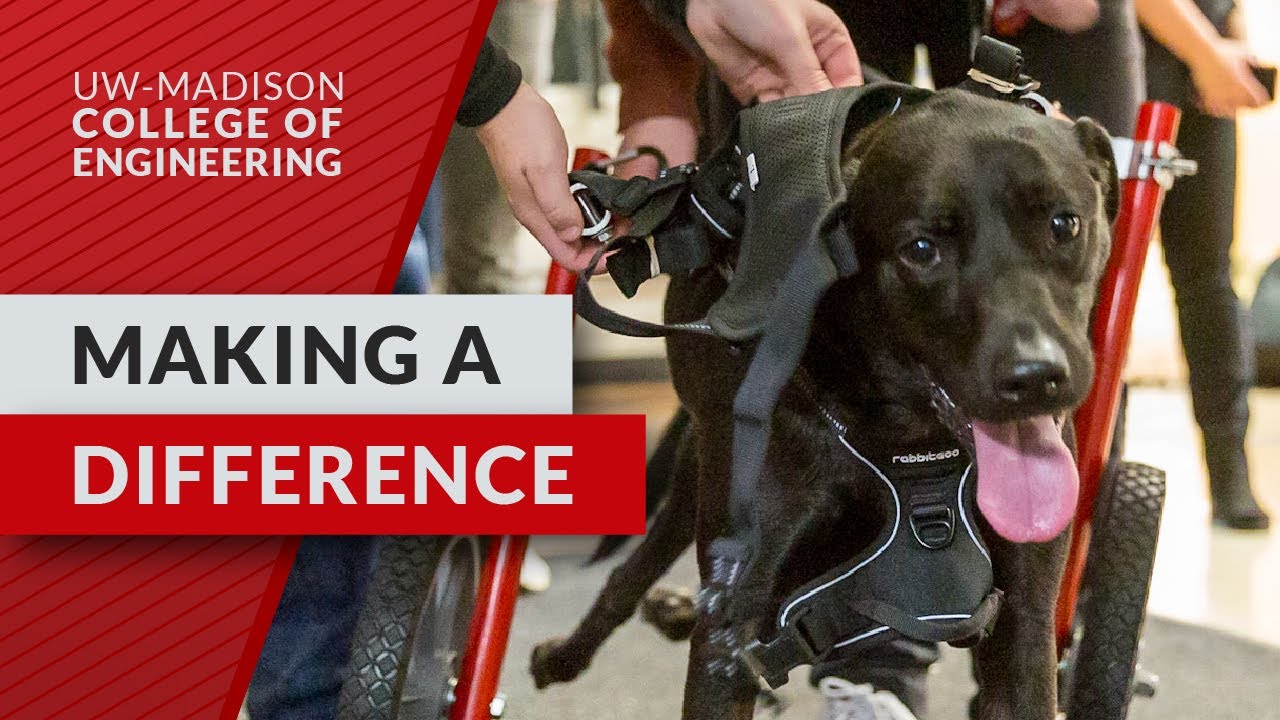 First-year engineers build wheelchair for paralyzed dog - YouTube