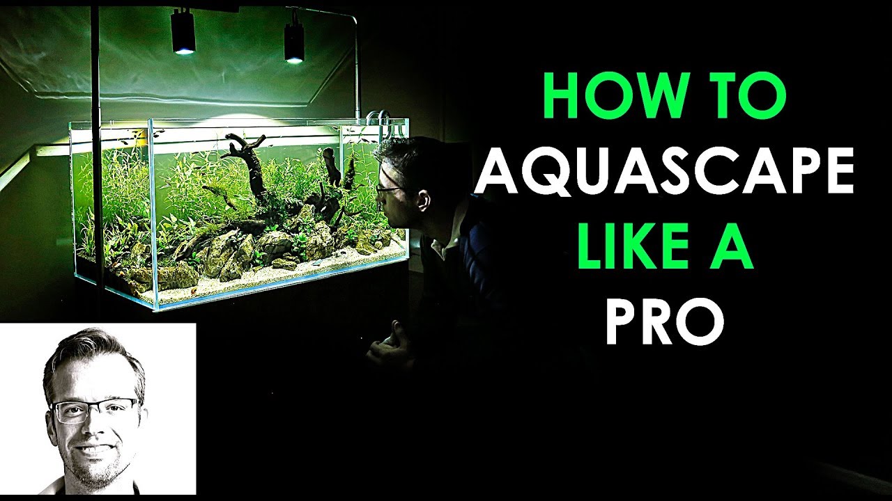 How to AQUASCAPE a NATURE AQUARIUM - The Easy Way! - YouTube