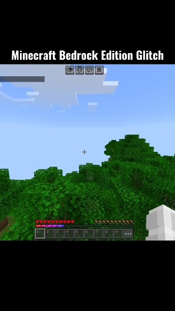 Minecraft Bedrock Edition Glitch #shorts #minecraft - YouTube