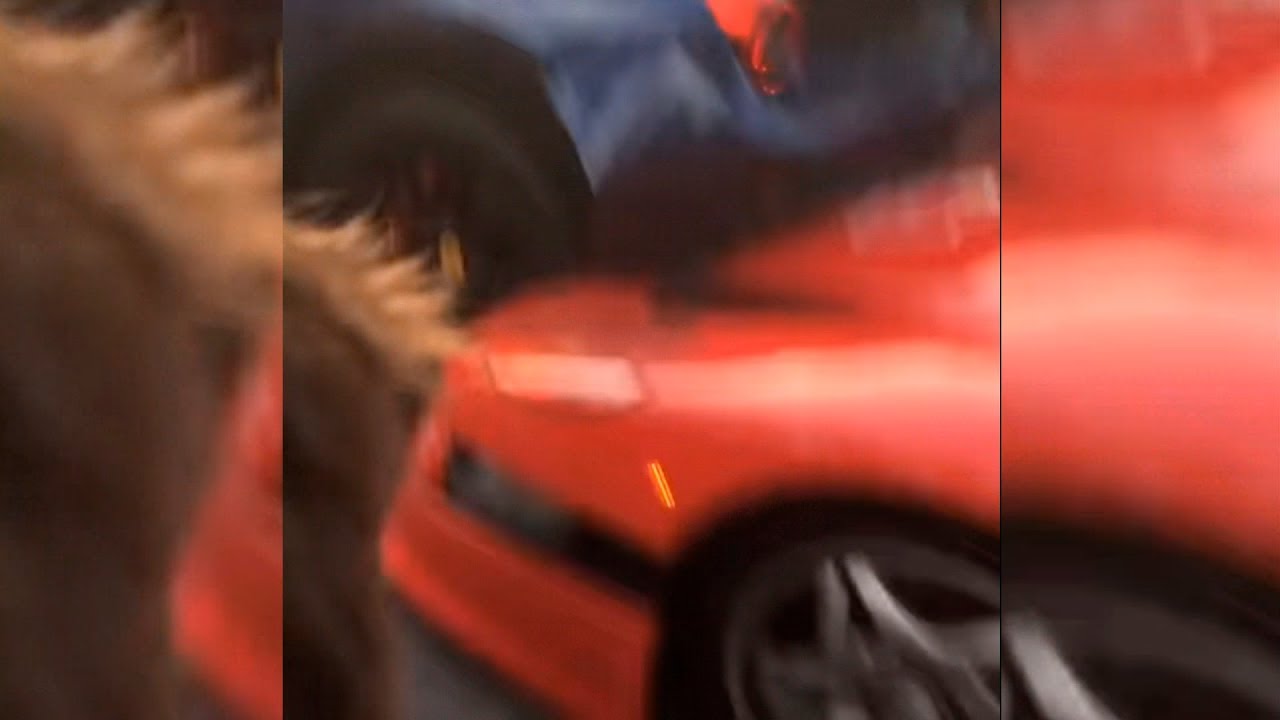 FERRARI F50 TERRIBLE CRASH AT CAVALCADE 2019 - YouTube