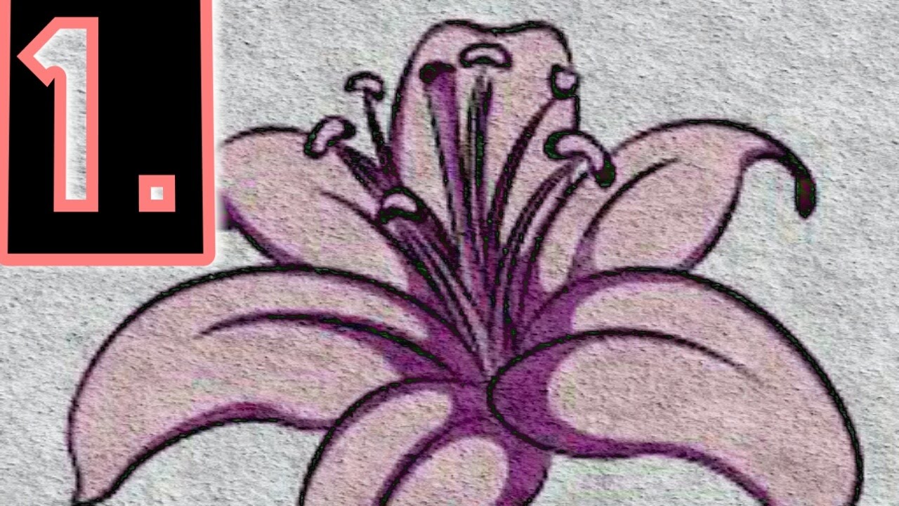 Lilly Drawing Sketch - YouTube