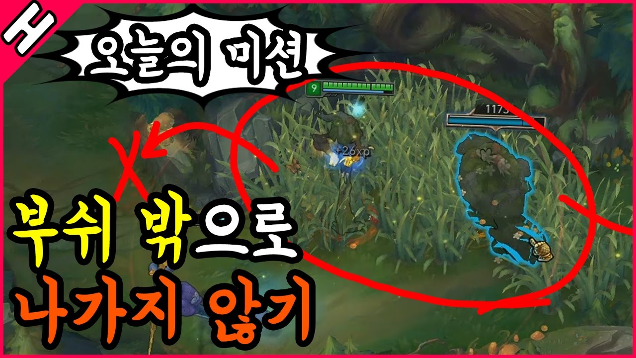 [테스터훈 오리지널] 롤에서 부쉬 밖으로 나가지 않고 게임을 한다면?! Hide on bush 현실판 - YouTube