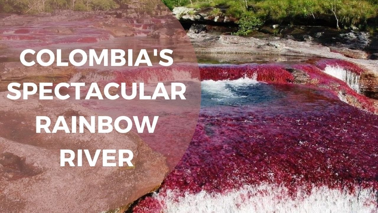Caño Cristales River: Colombia's Liquid Rainbow or River of Five Colors ...