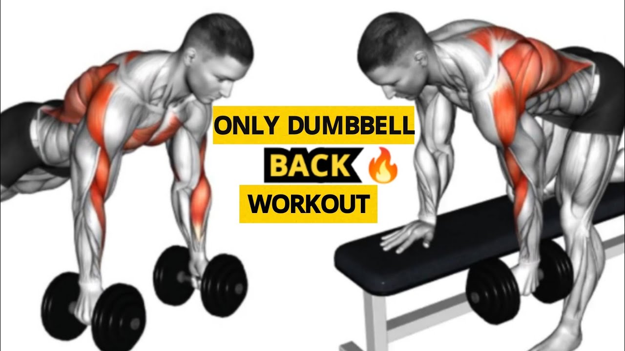 Back Workout With Dumbbells - Back Workout at Home - YouTube