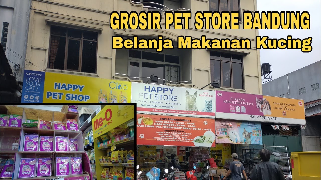 Belanja Makanan Kucing ke Grosir Pet Store Bandung - YouTube