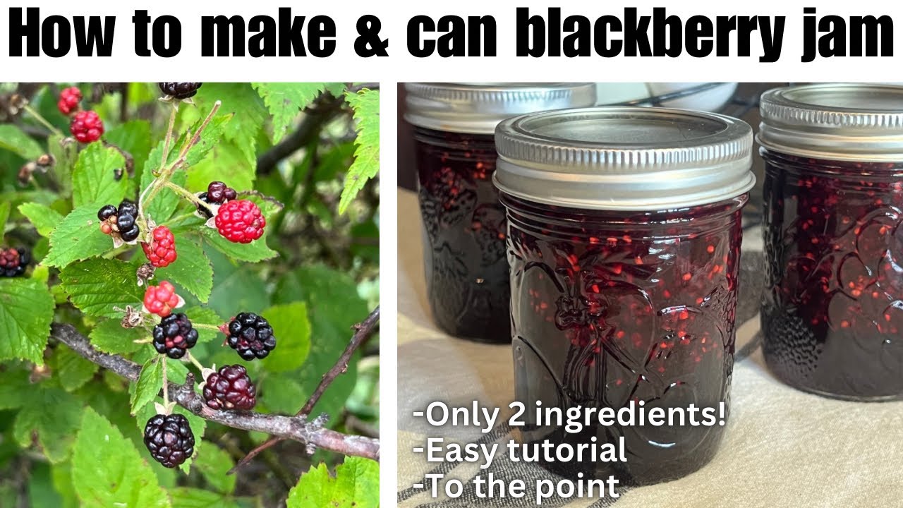 How To Make Can Blackberry Jam ONLY 2 INGREDIENTS Step By Step How To Make Can Blackberry Jam ONLY 2 INGREDIENTS Step By Step
