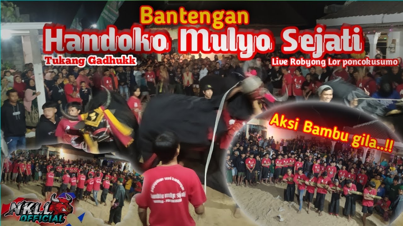 HANDOKO MULYO SEJATI Live Robyong Dewe......, - YouTube