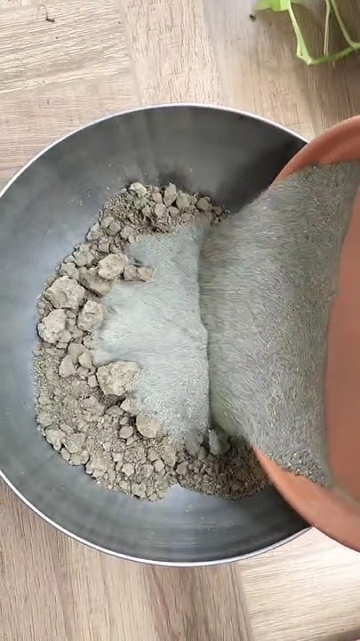 How to improve clay soil 💯 #shorts - YouTube