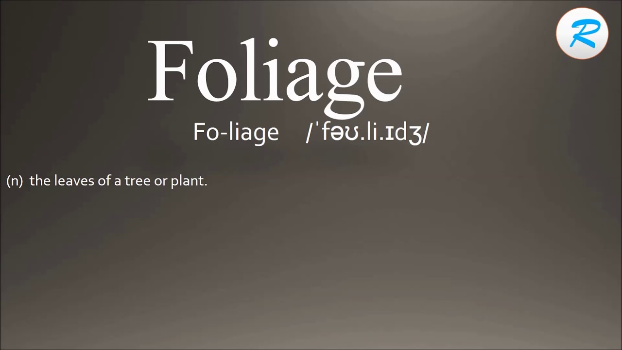 How To Pronounce Foliage YouTube how-to-pronounce-foliage-youtube